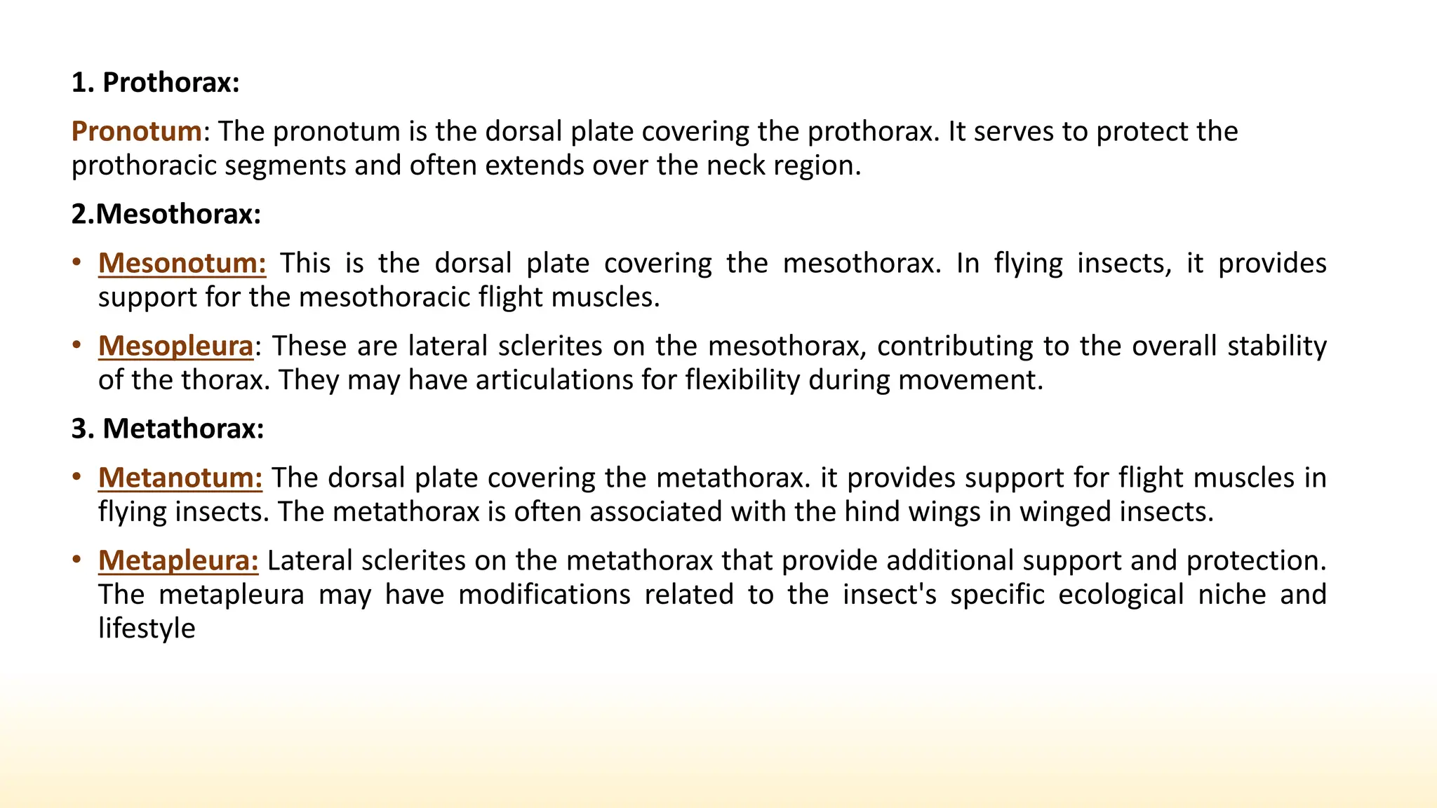 Share insects Sclerites.pptx Insects Plates & sutures | PPTX