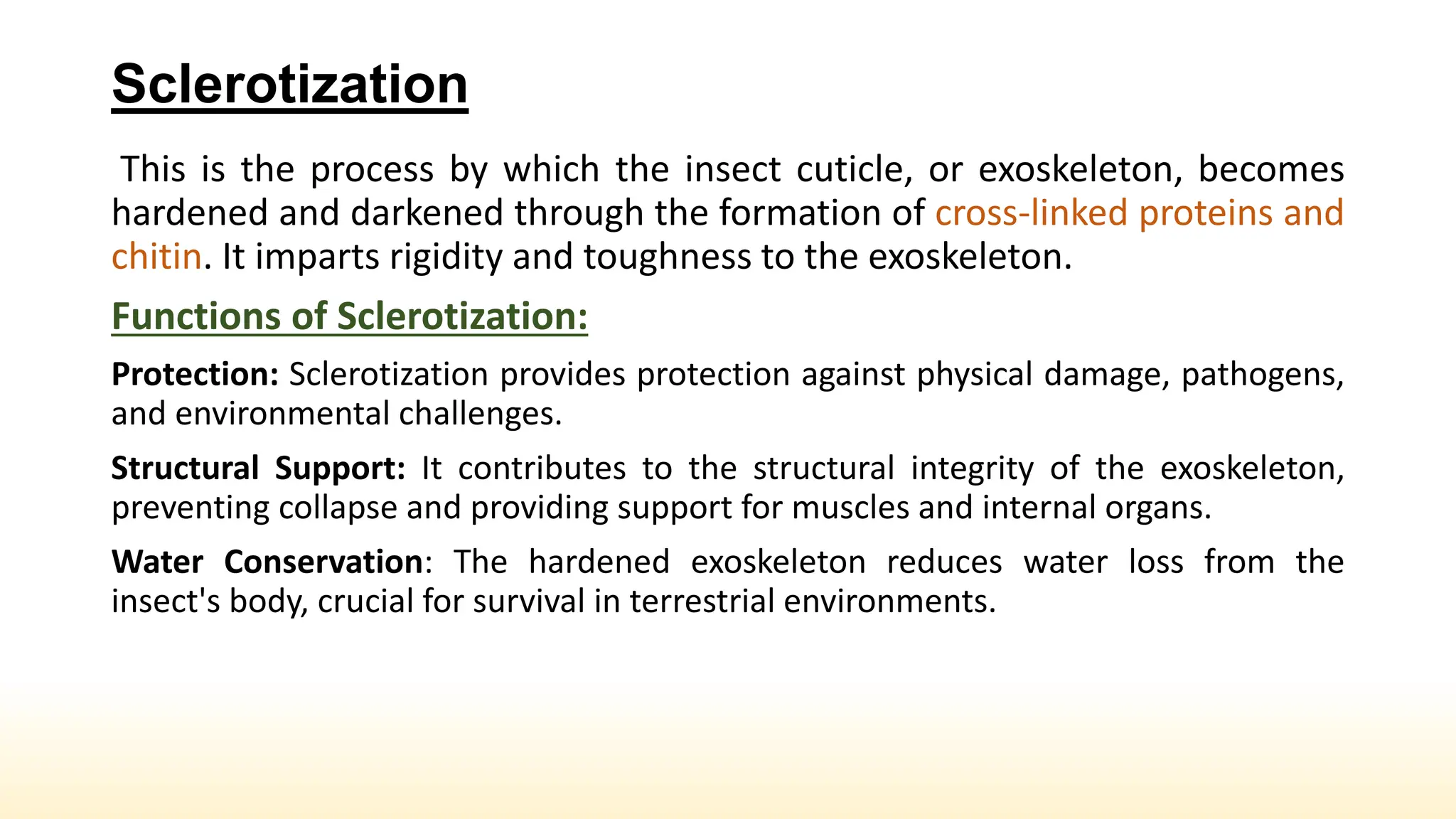 Share insects Sclerites.pptx Insects Plates & sutures | PPTX