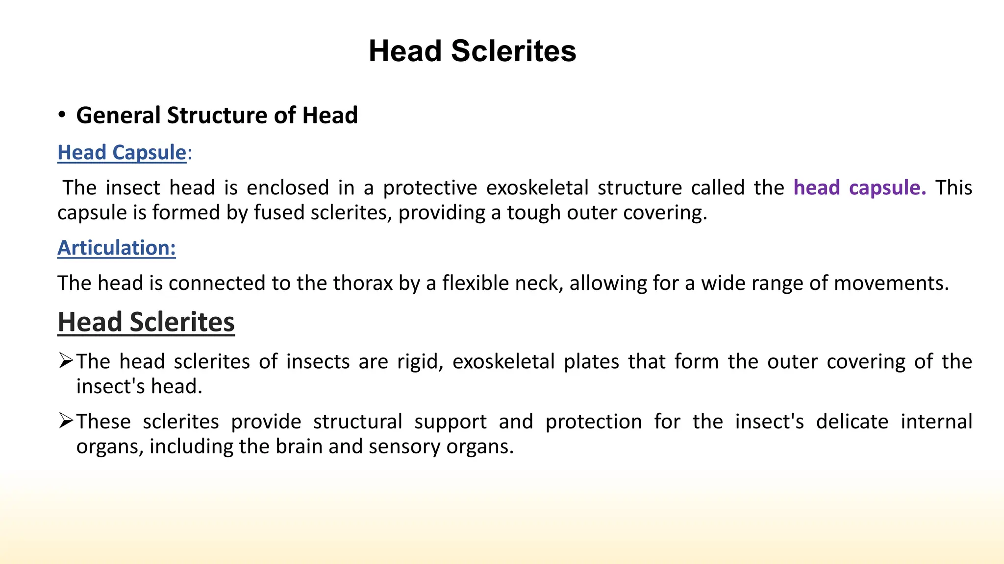 Share insects Sclerites.pptx Insects Plates & sutures | PPTX