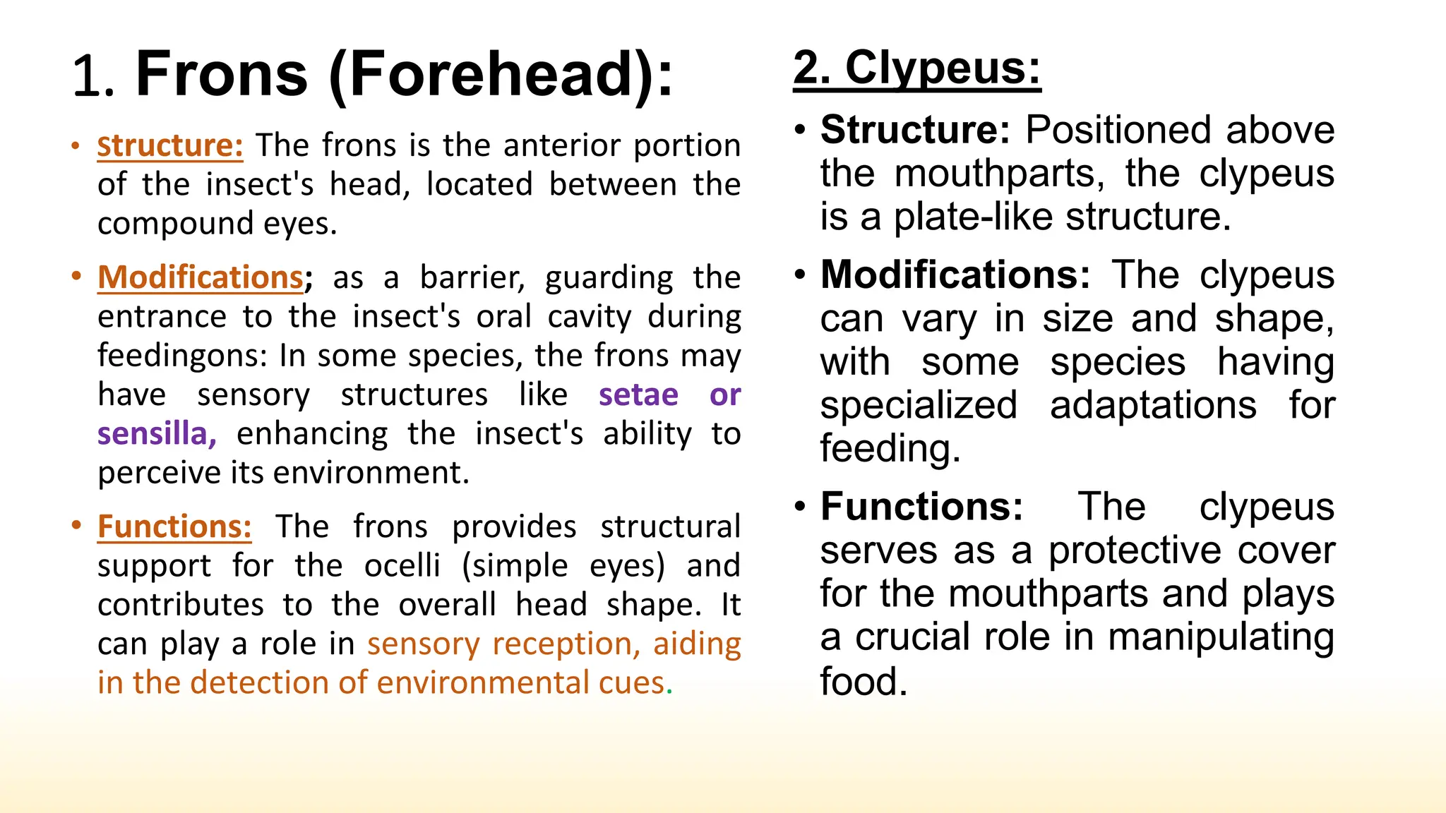Share insects Sclerites.pptx Insects Plates & sutures | PPTX