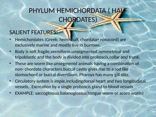 Share KINGDOM ANIMALIA [medical bacteriology] -1.pptx