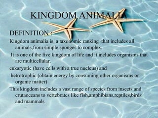 Share KINGDOM ANIMALIA [medical bacteriology] -1.pptx