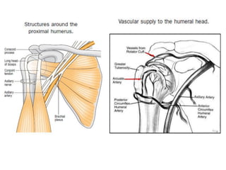 MIROS (Minimally Invasive Reduction and Osteosynthesis System®) | PDF