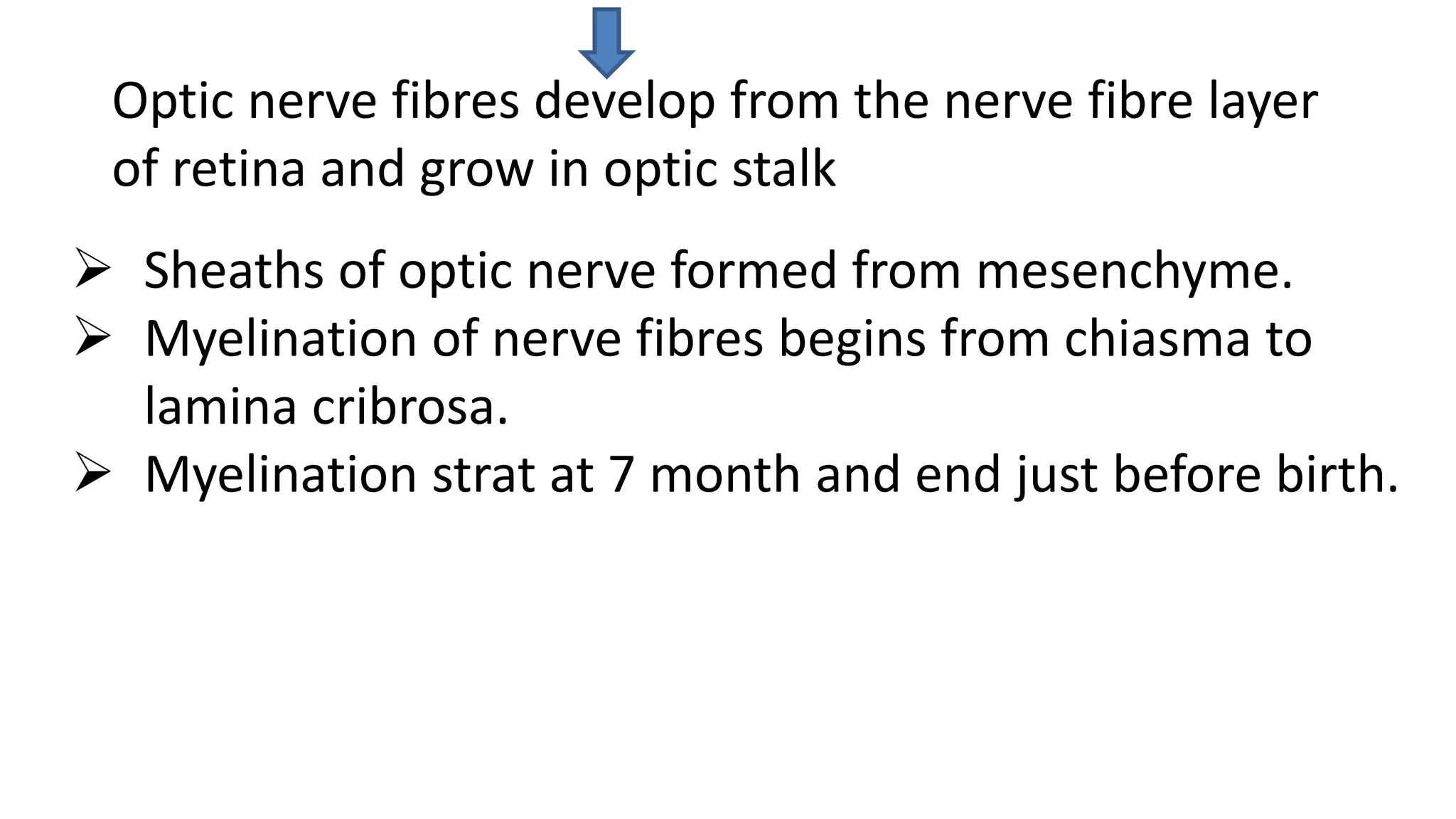 Optic Nerve and Visual pathway.pptx