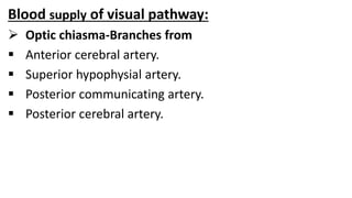 Optic Nerve and Visual pathway.pptx