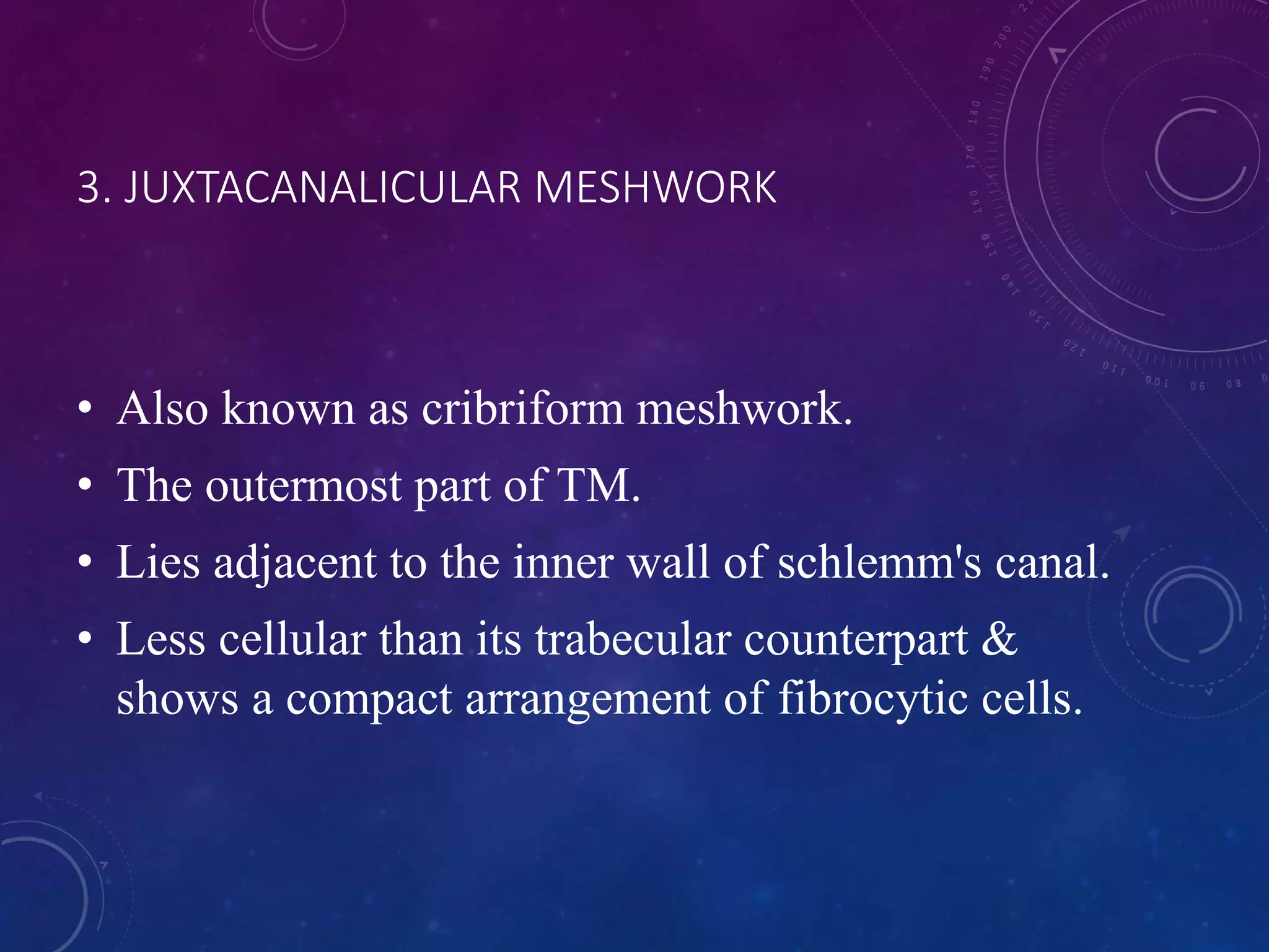 anatomy of anterior chamber of eye | PPTX