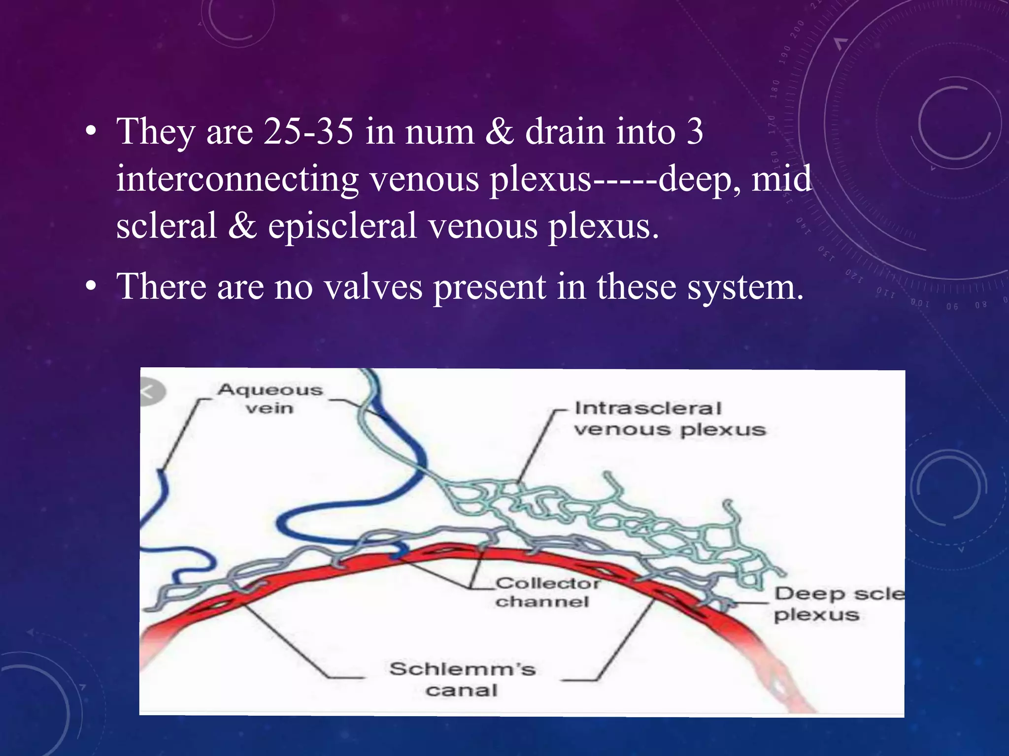 anatomy of anterior chamber of eye | PPTX
