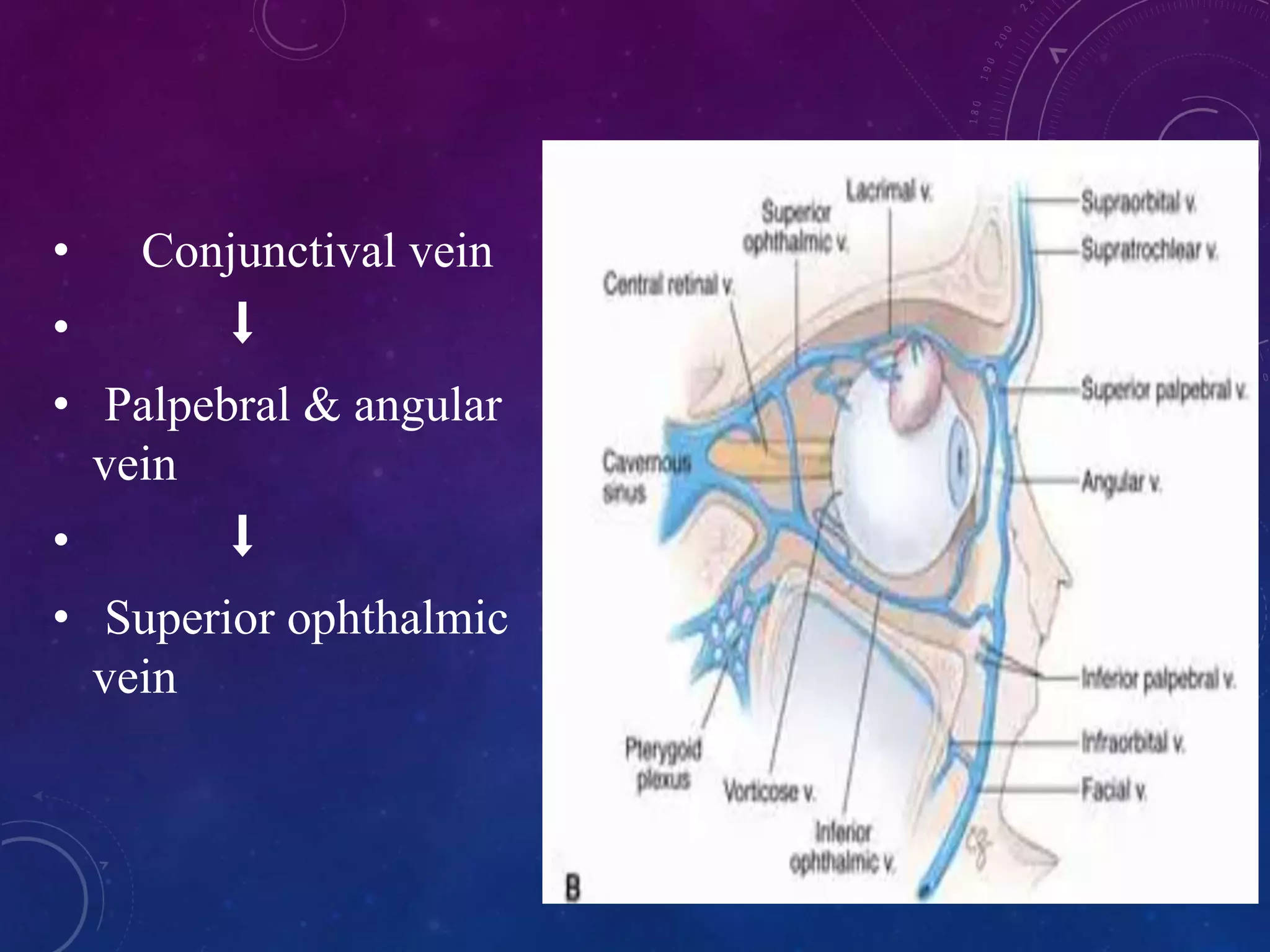 anatomy of anterior chamber of eye | PPTX