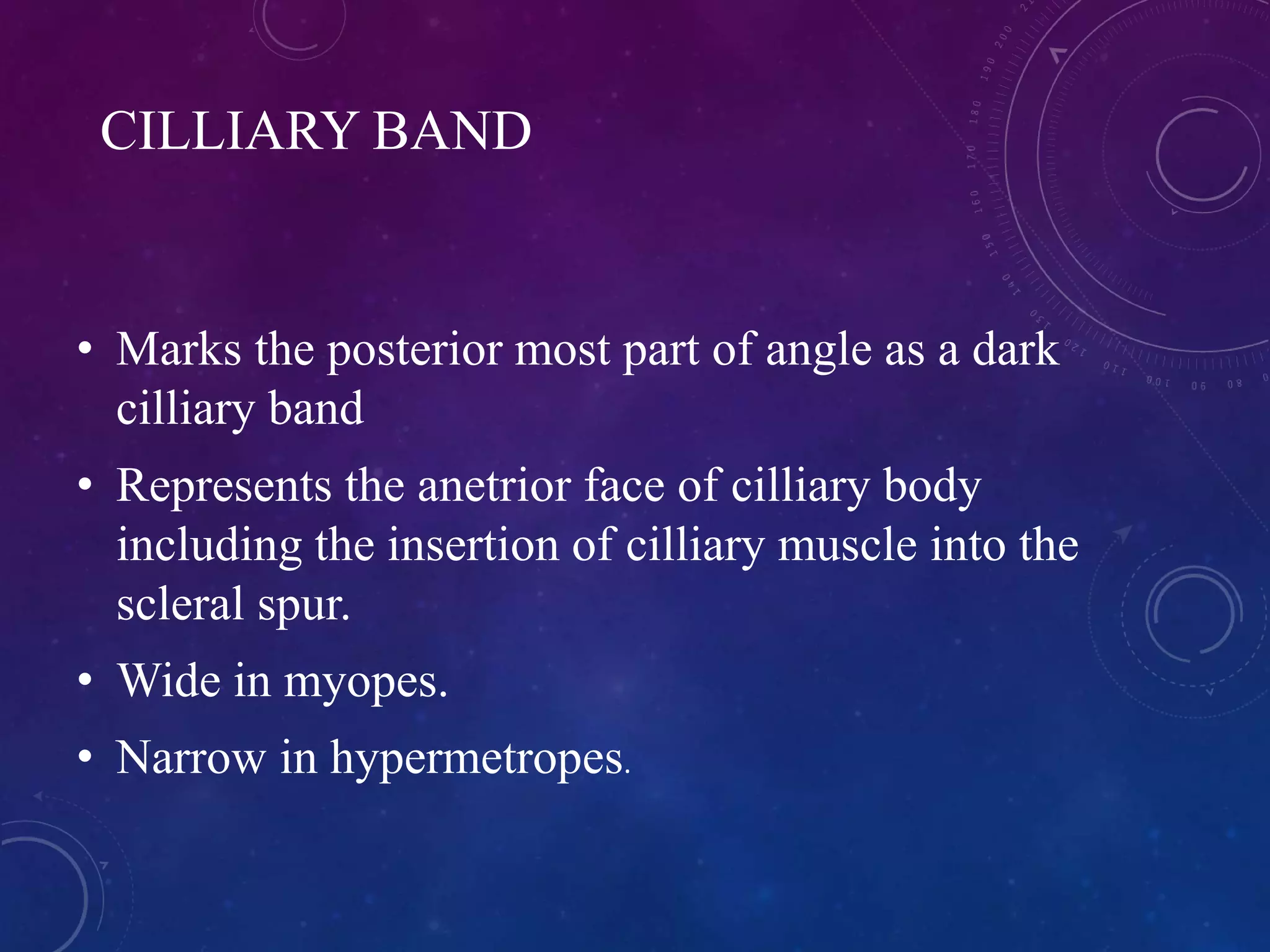 anatomy of anterior chamber of eye | PPTX