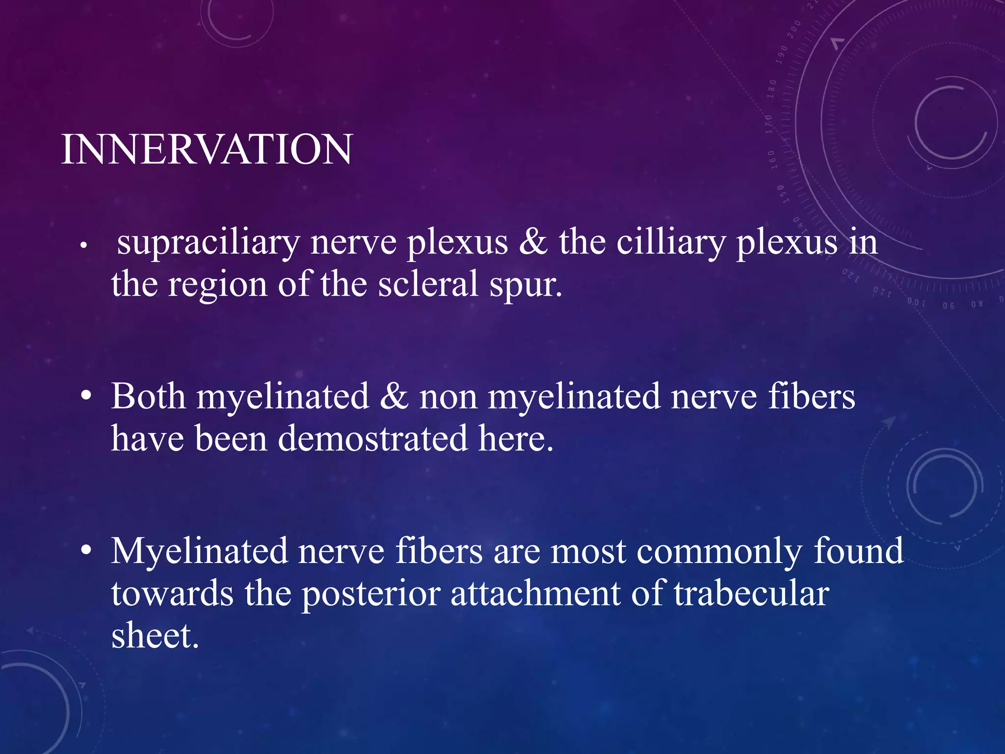 anatomy of anterior chamber of eye | PPTX