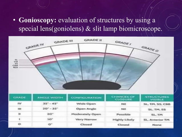 anatomy of anterior chamber of eye | PPTX