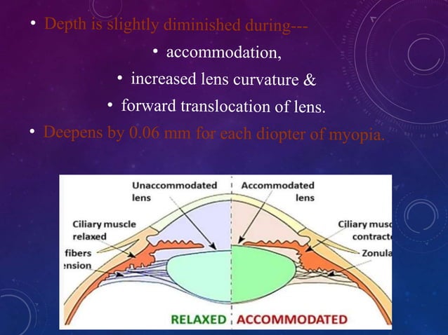 anatomy of anterior chamber of eye | PPTX
