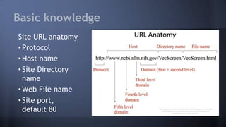 SharePoint architecture-site | PPT