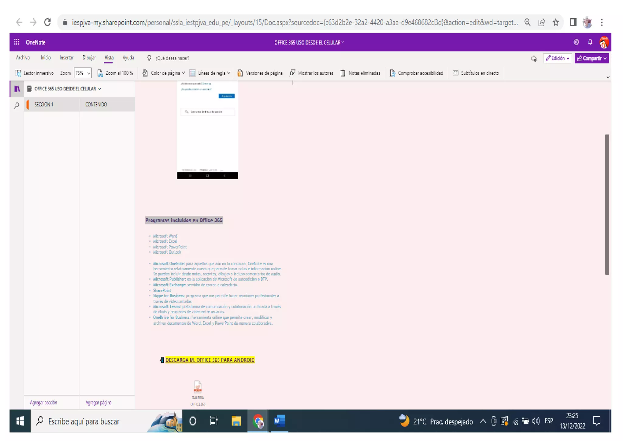 SHAREPOINT-OFFICE 365.pdf