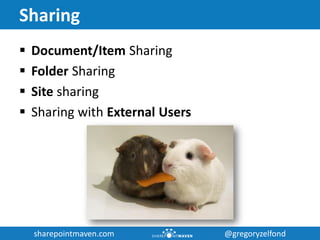 SharePoint Beginner Training for End Users | PDF