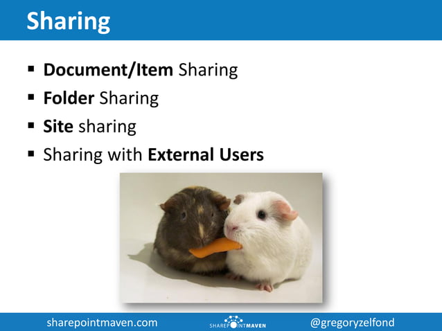 SharePoint Beginner Training for End Users | PDF