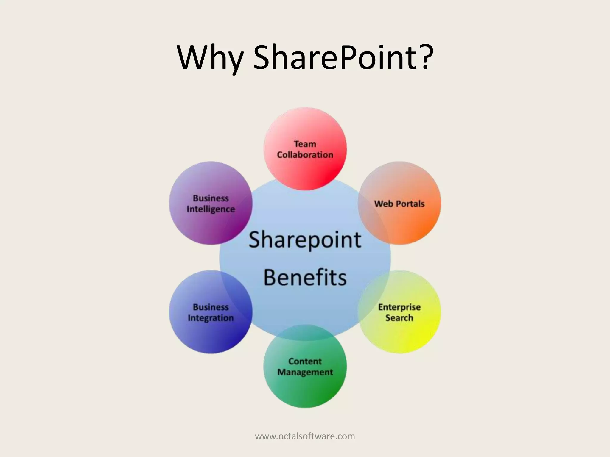Custom SharePoint Development | PPT