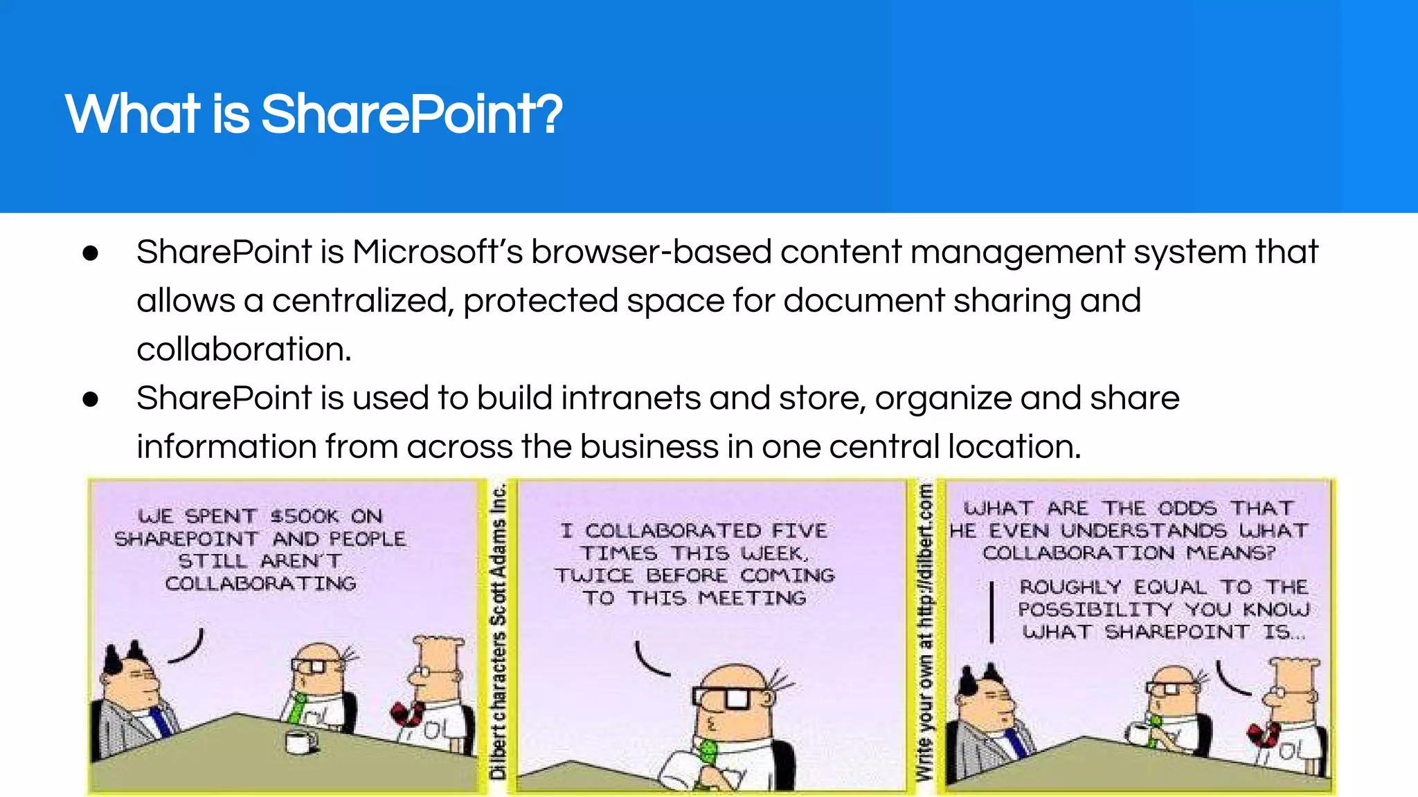 Sharepoint Basics | PDF