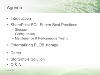 SharePoint Storage Best Practices | PDF