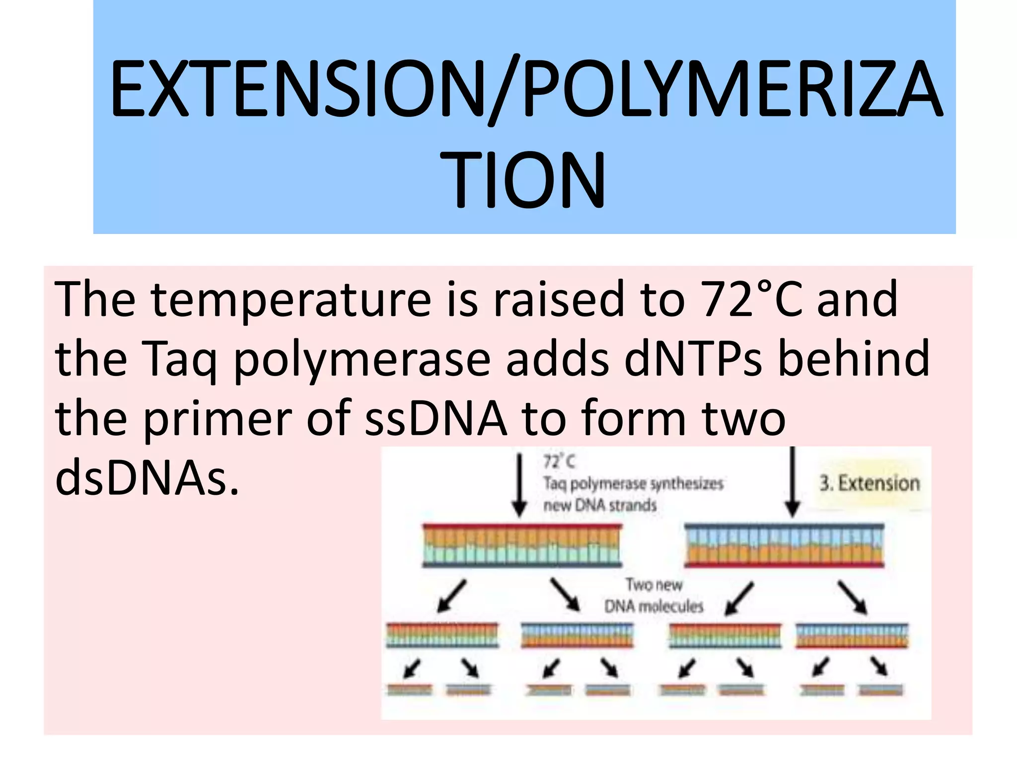 Polymerase chain reaction. | PPTX
