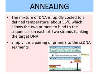 Polymerase chain reaction. | PPT