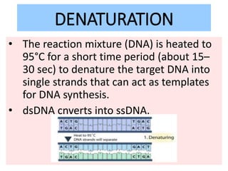 Polymerase chain reaction. | PPT