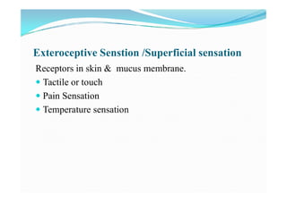 Examination of sensory system | PDF | Death, Injury, or Military ...