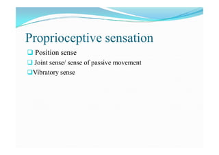 Examination of sensory system | PDF