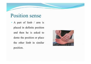 Examination of sensory system | PDF | Death, Injury, or Military ...