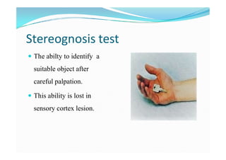 Examination of sensory system | PDF