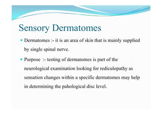 Examination of sensory system | PDF
