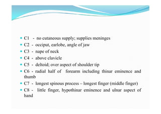 Examination of sensory system | PDF | Death, Injury, or Military ...