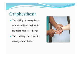 Examination of sensory system | PPT