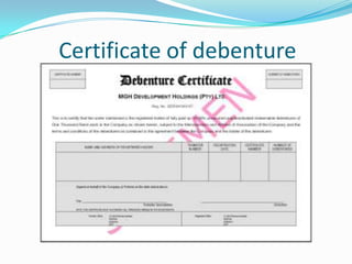 Shares & debentures | PPTX