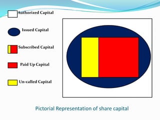 Shares & debentures | PPTX