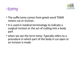Share Sk.Hapsha Azmeenppt.pptx on anatomical suffix - tomy and - ema | PPT