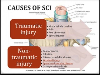 spinal cord injury | PPTX