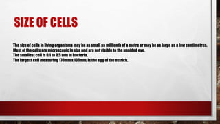 Study of cells b ed.pptx