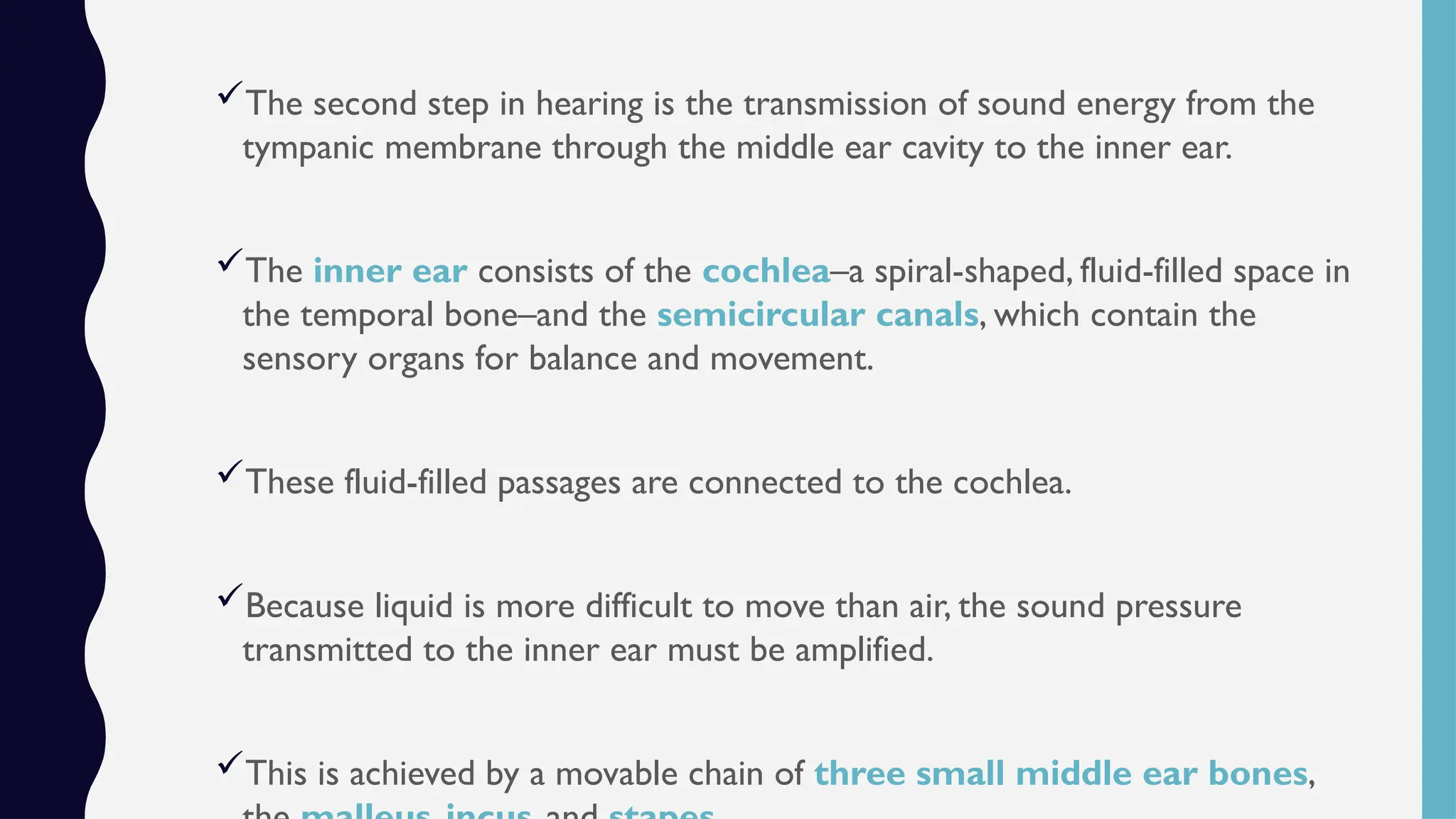 Share THE SENSORY SYSTEMS (Auditory sense).pptx
