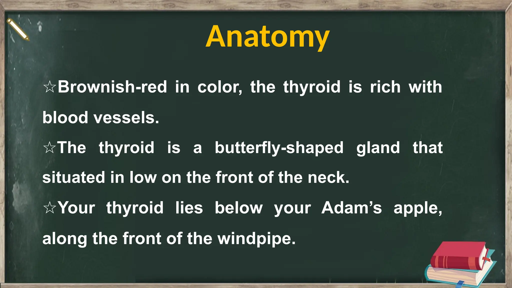THYROID GLAND ANATOMY PHYSIOLOGY AND DISORDER | PPTX
