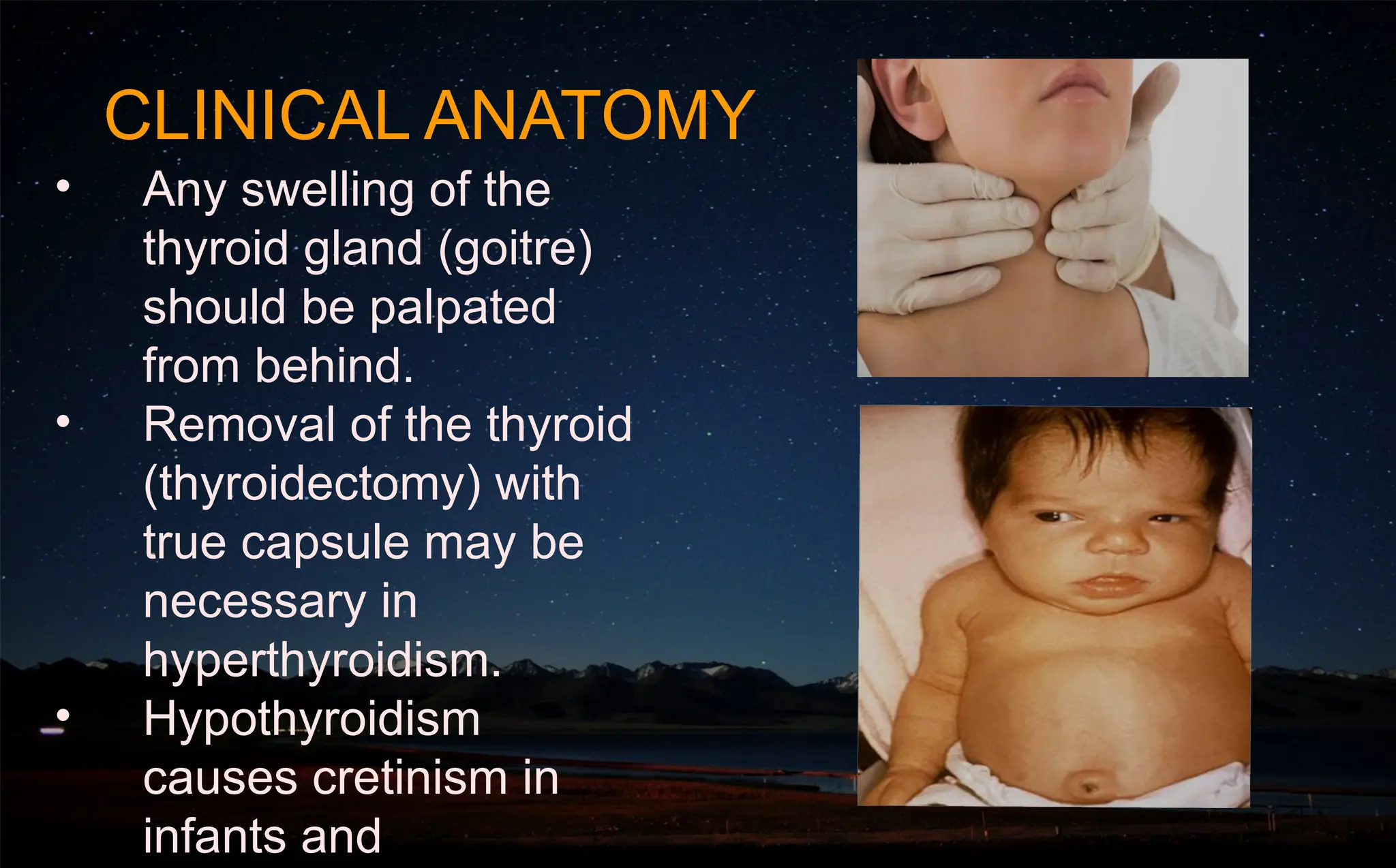 Share Thyroid gland ppt-1-2.pptx anatomy | PPTX