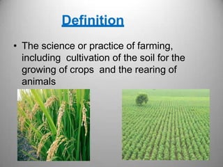 Share Unit-II_ Journey of Indian Ag.pptx
