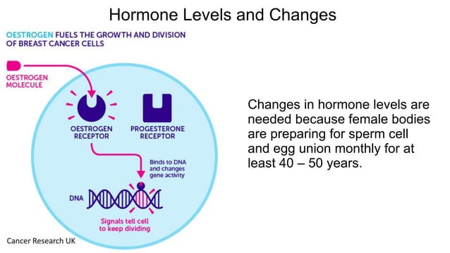 When Cells Go Rogue and Become Breast Cancer | PPT