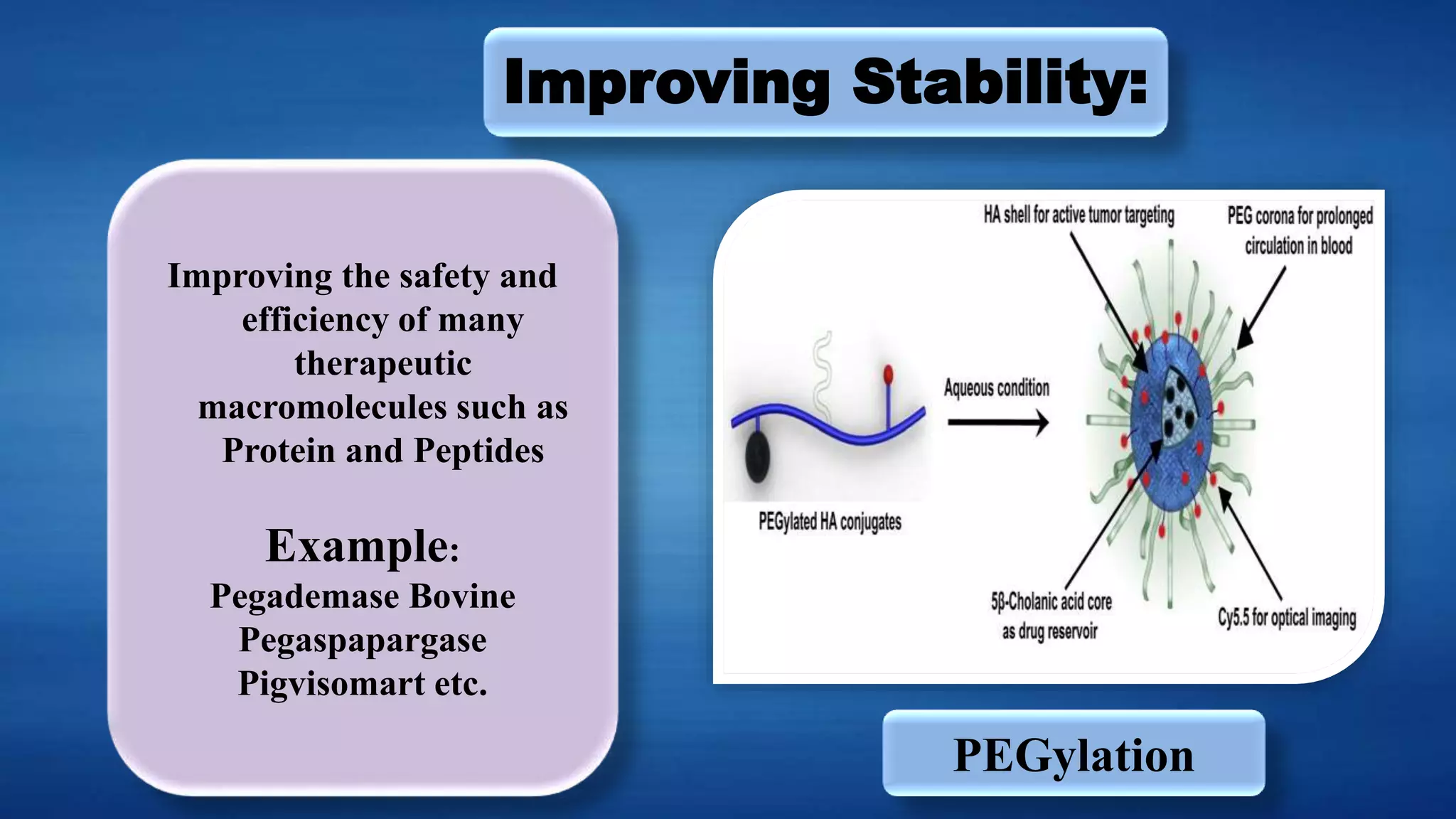 Drug delivery system for biotech product considering stability aspects ...