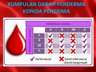 DARAH MANUSIA (B6D3E1) TINGKATAN 3 | PPTX