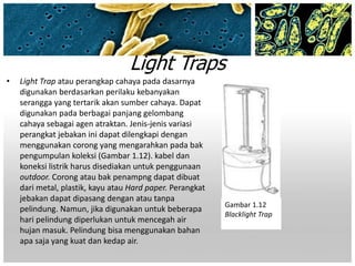 Sharing divisi insect metode pengamatan dan pengumpulan serangga | PPTX