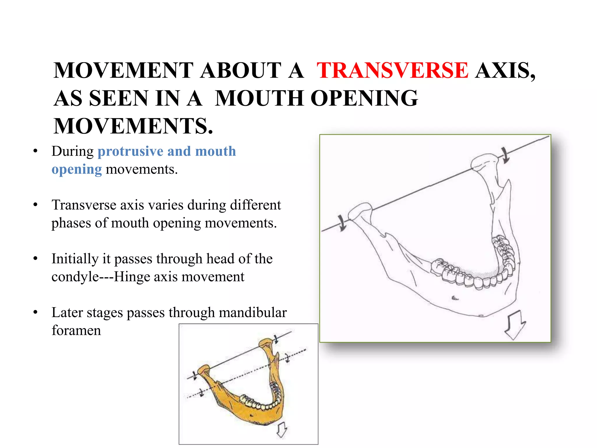 MANDIBULAR MOVEMENTS | PPTX