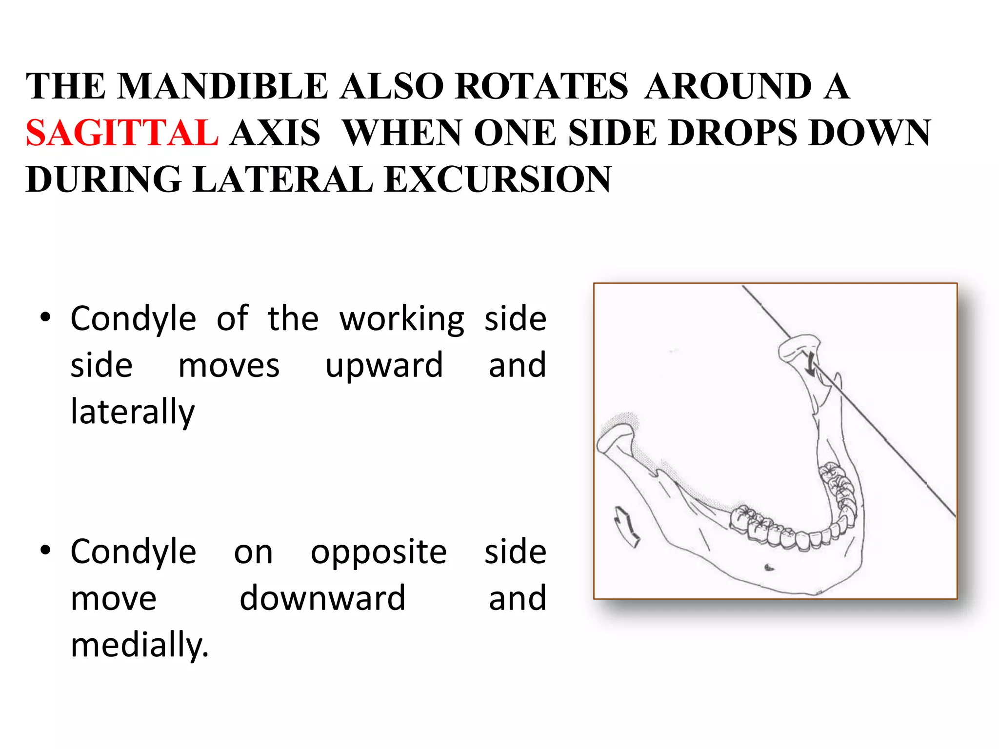 MANDIBULAR MOVEMENTS | PPTX