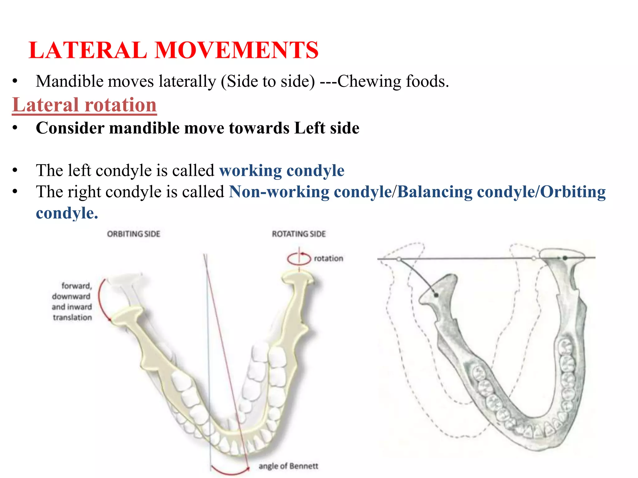 MANDIBULAR MOVEMENTS | PPTX