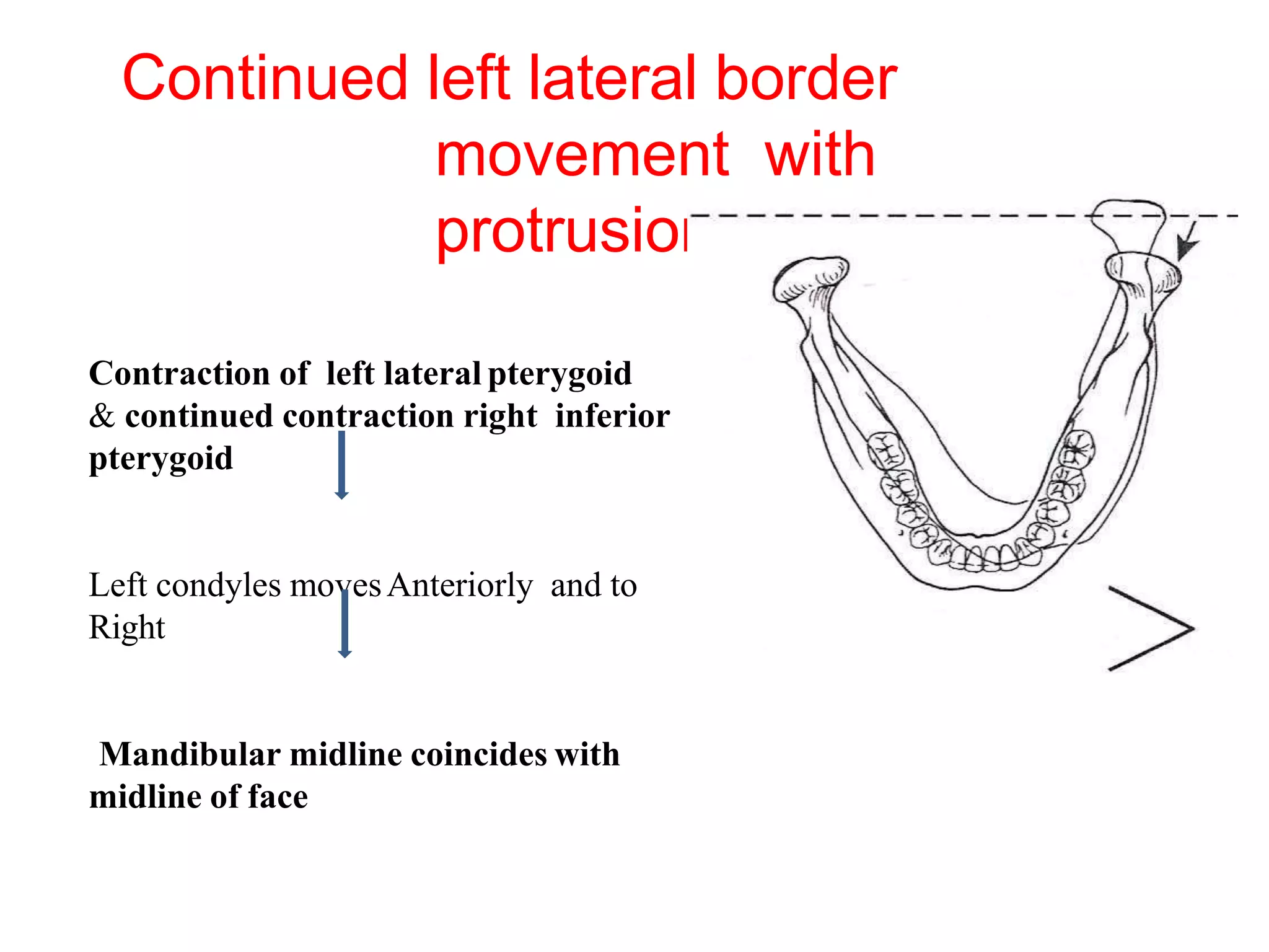 MANDIBULAR MOVEMENTS | PPTX